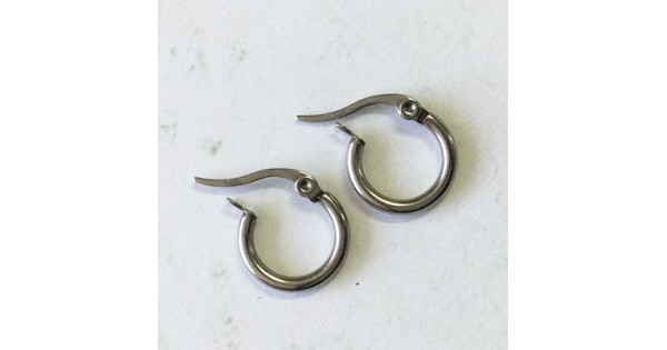 15x2mm 304 Stainless Steel Euro Hoop Earrings - Per Pair | Base Metal ...